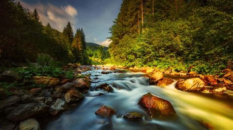 Workflow Automation Trends For Businesses In 2024