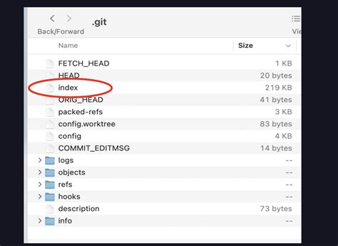 Learn How To Use The Git Add Command All Interactive Undo