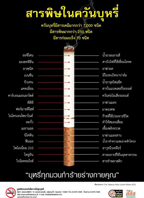 โปสเตอร์สารพิษในควันบุหรี่ สื่อรณรงค์สุขภาพกับบุหรี่ ทั่วไป Smoke Free Zone