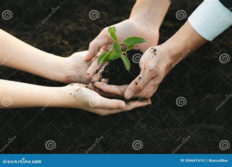 Grow And Nurture Integrity Concept Plant On Pot With Flower On Blue