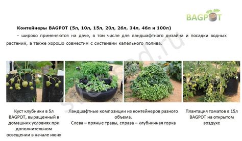Садовые контейнеры BAGPOT Компостер 750 л