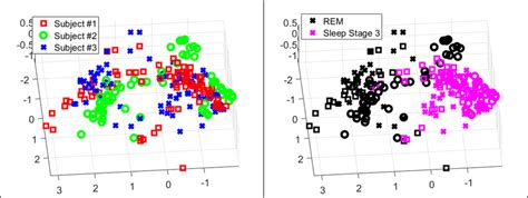 Representation Of Recordings For Sleep Stage Identification A Download Scientific Diagram
