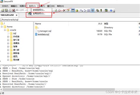 解决ftp工具securefx中文乱码securefx 中文乱码 Csdn博客 解决ftp工具securefx中文乱码securefx 中文乱码 Csdn博客