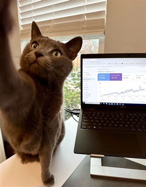 Muhammad Sohaib On Linkedin Seo Made Easy 20 Hacks To Improve Your Website Seo With These