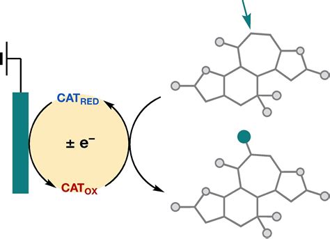 Special Collection On Organic Electrocatalysis Ackermann 2023 European Journal Of Organic