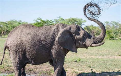 Gradle Push To Maven Repository