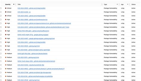Aws Ecr Scanning And Vulnerabilities Concern Synthetics Discuss The