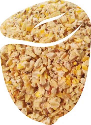 Corn Germ At Best Price In Ahmedabad By Grain Span Id 14215398388