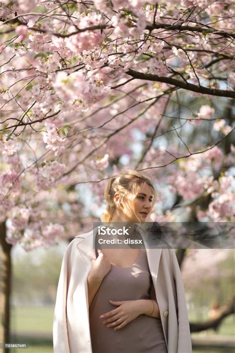 아름 다운 금발 젊은 여 자가 봄 벚꽃 공원에서 자연과 자유 시간을 즐기는 그녀의 여행 관광 자유 시간을 입고 흰색 바지와 T 셔츠 베이 지 색 재킷 Hanami에 대한
