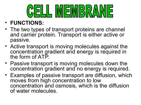 Basic Cell Life Structure And Eukaryotic Vs Prokaryotic Ppt