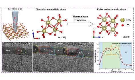 Articles Microstructures Oae
