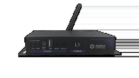 Linsn L1 Asynchronous Led Player Colorlit Led