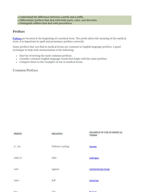 Understand The Difference Between A Prefix And A Suffix Pdf Thorax