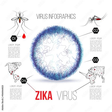 Virus Zika Vector Illustration Infographics Stock Vector Adobe Stock