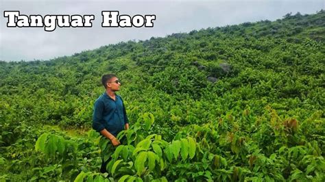 টাঙ্গুয়ার হাওর ভ্রমণ নৌকা দিয়ে টাঙ্গুয়ার হাওর ভ্রমণ Tanguar Haor Vlog Youtube