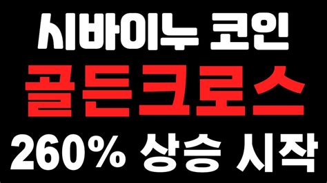 시바이누코인 골든크로스 260 상승시작 불독코인비트코인급등코인코인단타 Youtube