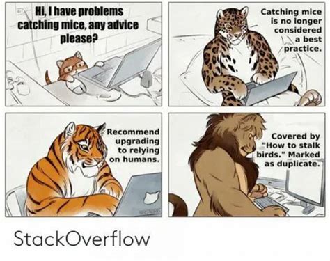 nate bunney on linkedin programmerhumor programmingmemes