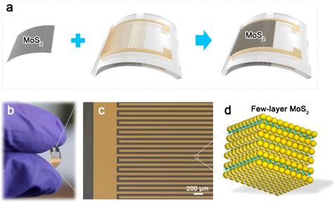 A Schematic Diagram Of Fabrication Steps Involved In The Development Of Download Scientific