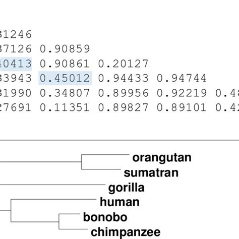 an example data set for imputing missing distances a a real distance