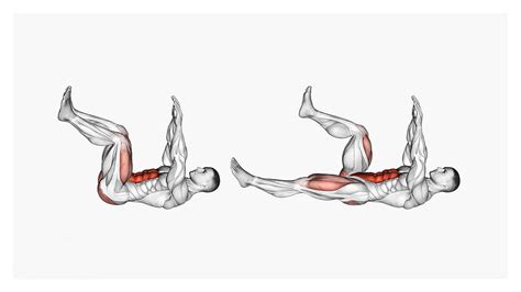 Dead Bug Exercise Complete Guide To Core Stability And Strength Dead Bug Exercise Complete Guide To Core Stability And Strength