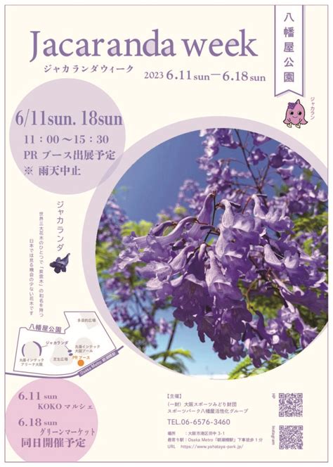 Jacaranda Week