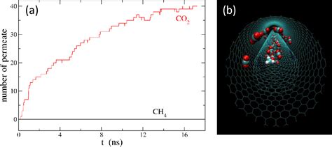 Figure 2 From Windowed Carbon Nanotubes For Efficient Co2 Removal From Natural Gas Semantic