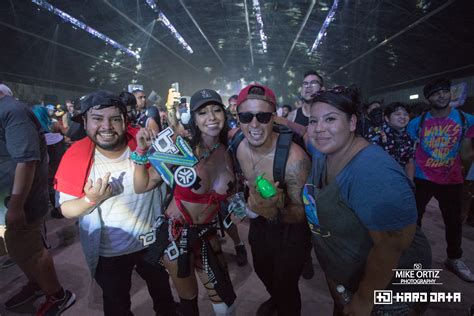 Project Z Recap The HARD DATA