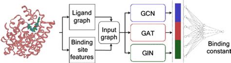 Graphlambda Fusion Graph Neural Networks For Binding Affinity Prediction Journal Of Chemical