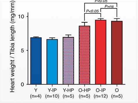 Analyzing Statistical Significance In Graphs R Mcat