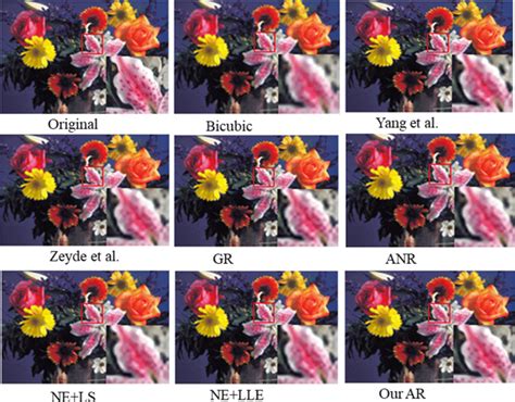 3 × Super Resolution Reconstructed Image And Local Details Of Flowers