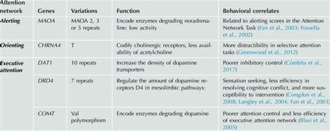 Summary Of The Main Genes Involved In Brain Functions And Circuits