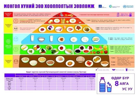 Бидний мэддэг мөртлөө мэддэггүй зохистой хооллолт