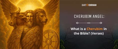 Cherubim Angel What Are The Cherubim In The Bible Verses