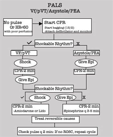Pals Badge Buddy Reference Study Guide Pediatrics Pals Algorithm