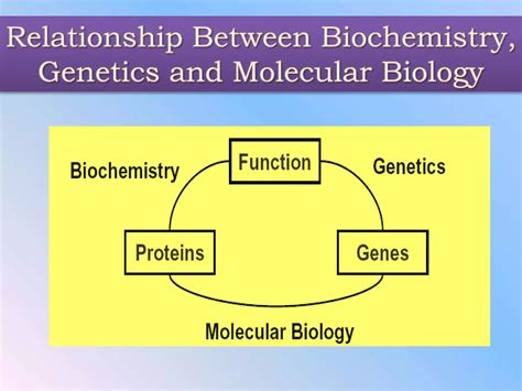 Molecular Biology Lecture Ppt