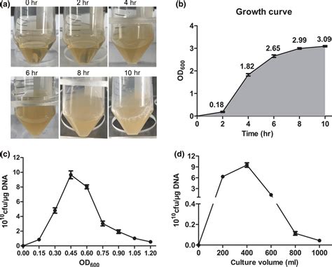 Effects Of Culture Conditions On Electrotransformation Efficiency In
