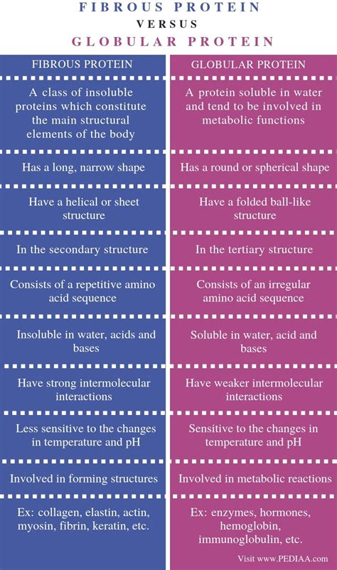Difference Between Fibrous And Globular Protein Pediaa Com