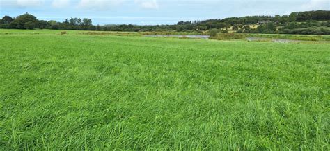 Grass Variety And Type Of Sowing Page 2 The Farming Forum