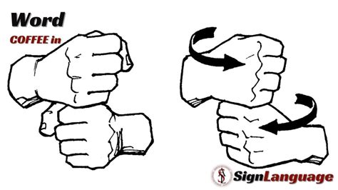 Unlock The World Of Asl Master Sign Language With Authentic Guides