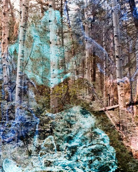 Rebecca Najdowski Expérimentations Et Désastre écologique