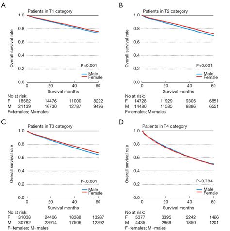 The Predictive And Prognostic Value Of Sex In Localized Colorectal Cancer A Seer Based Analysis