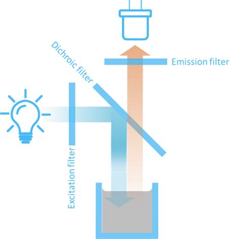 Fluorescence Spectroscopy Instrumentation Ppt At Calvin Haugen Blog