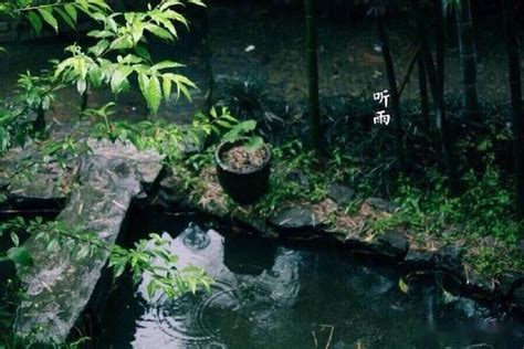 抚琴莳花焚香品茗古代文人九雅你最钟意哪一种 赏雪