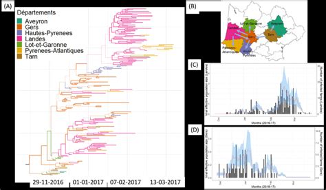 Inferred Epidemics Dynamics Based On Structured Coalescent Population