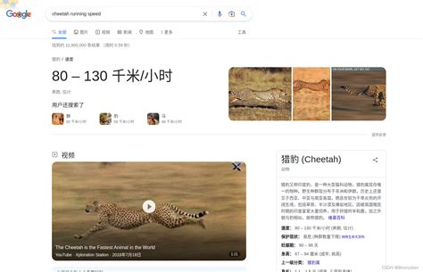 谷歌搜索引擎的工作原理与pagerank算法解析 Csdn博客