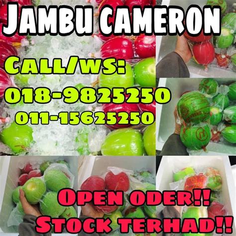 Jambu Cameron Lembah Klang Batu Caves