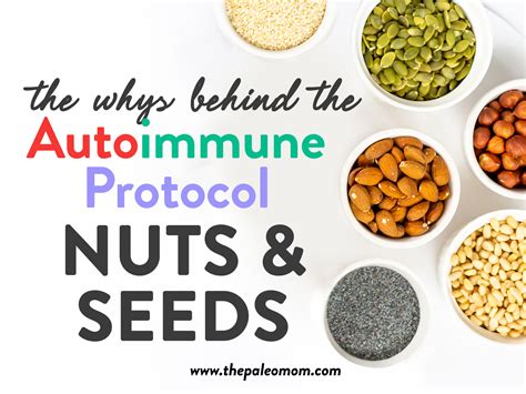 The Reintroduction Phase Of The Aip The Paleo Mom