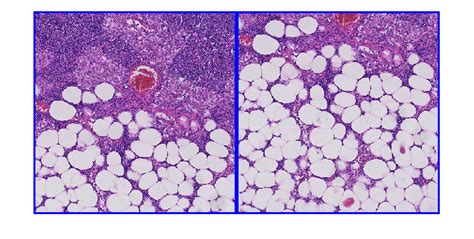 To Be Removed Datastore To Manage Blocks Of Bigimage Data Matlab