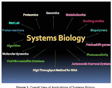 Figure 1 From Emerging Trends In Various Fields With Systems Biology