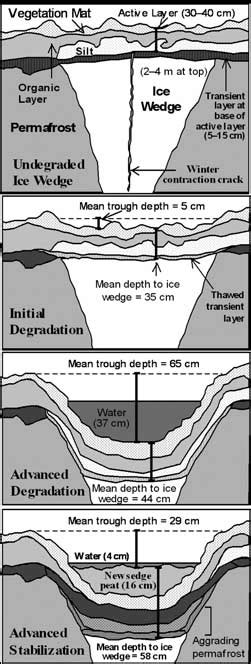 Stages Of Ice Wedge Degradation Including An Undegraded Ice Wedge With